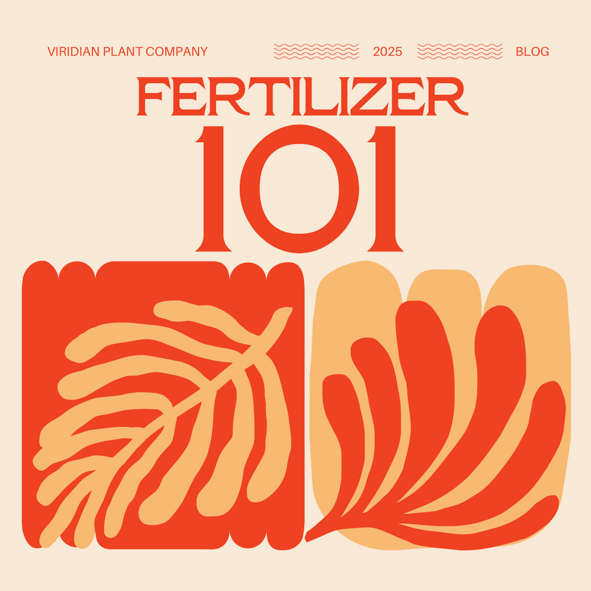 Fertilizer 101: A Beginner’s Guide to Boosting Plant Growth – Viridian ...